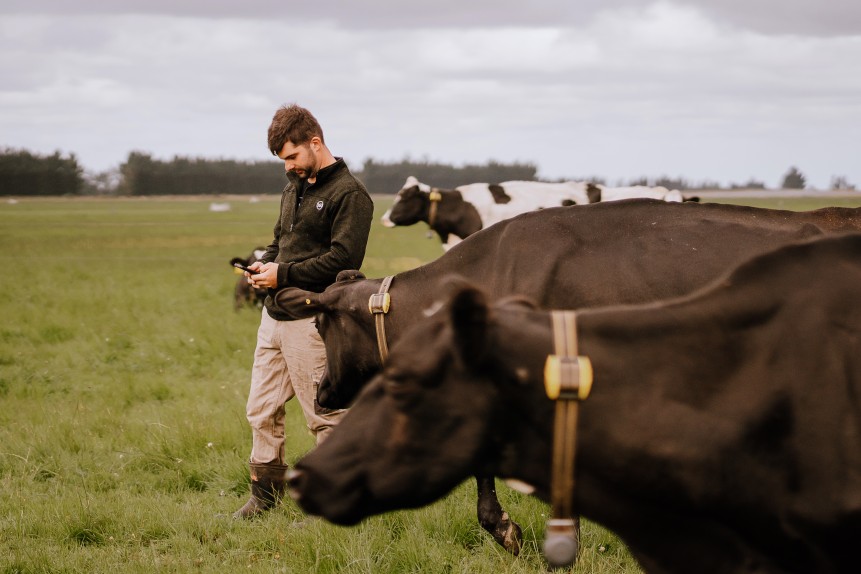 Active Tag | Tru-Test Datamars